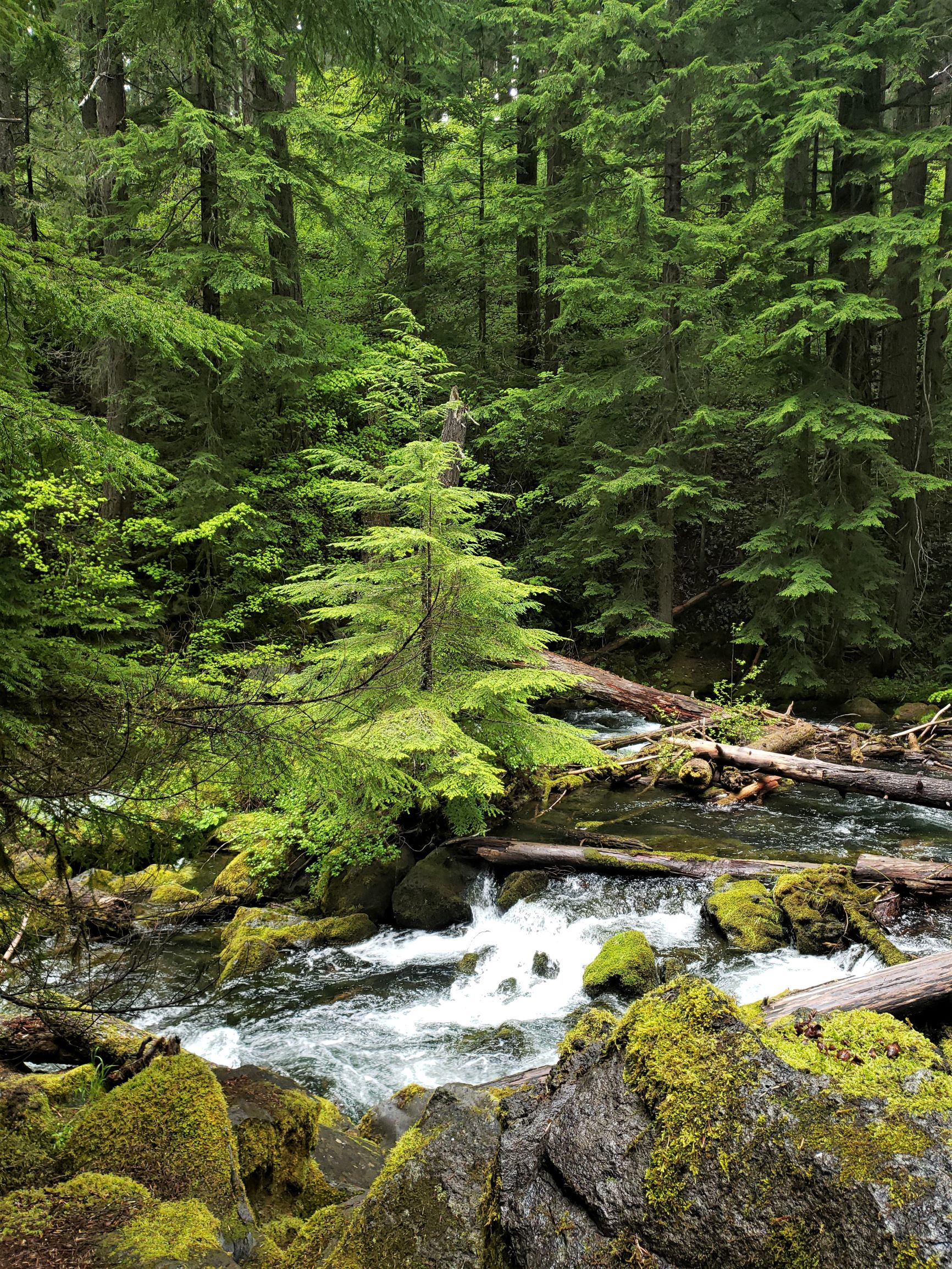 Campgrounds with Waterfalls - Exploring with Alice