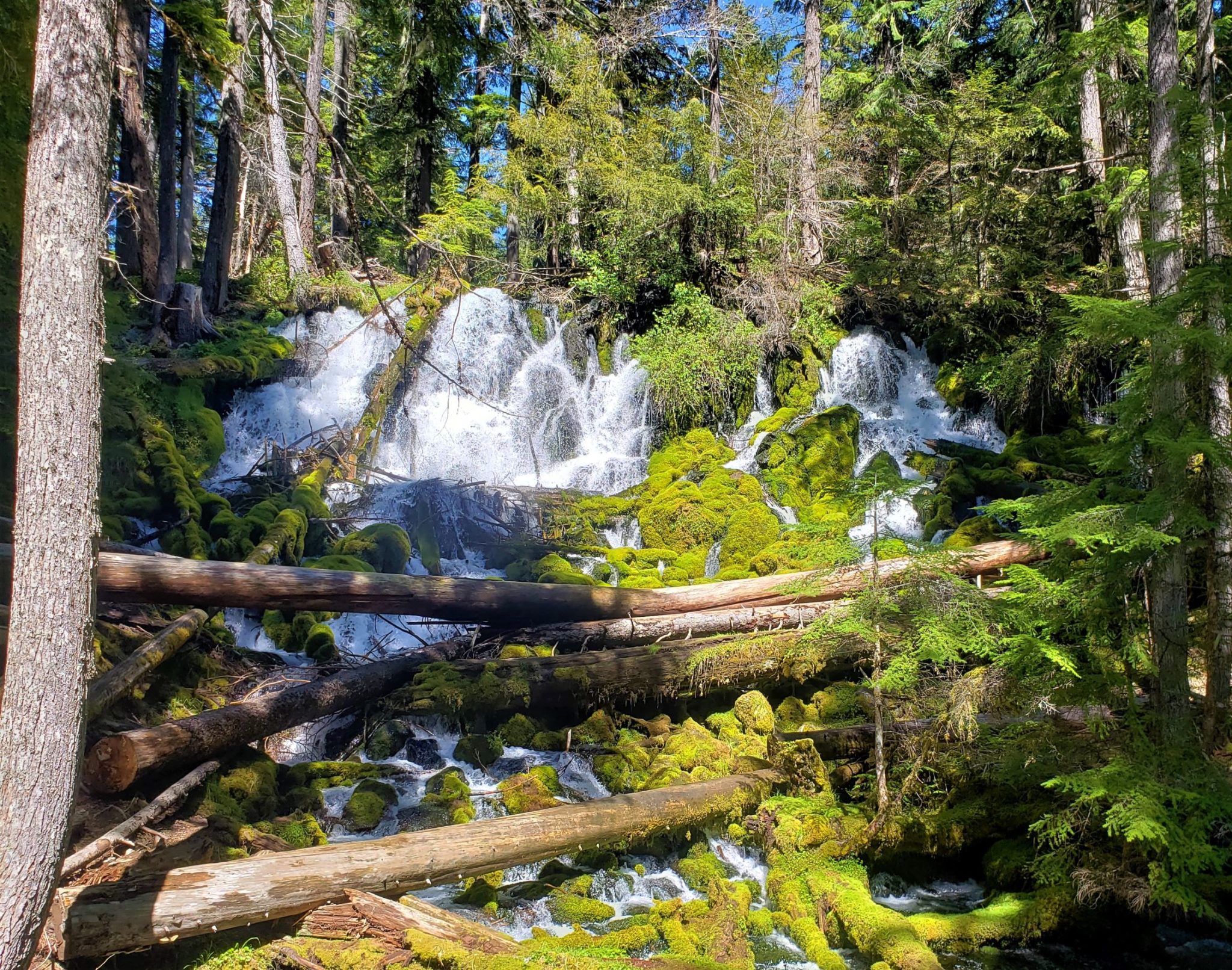 Campgrounds with Waterfalls - Exploring with Alice