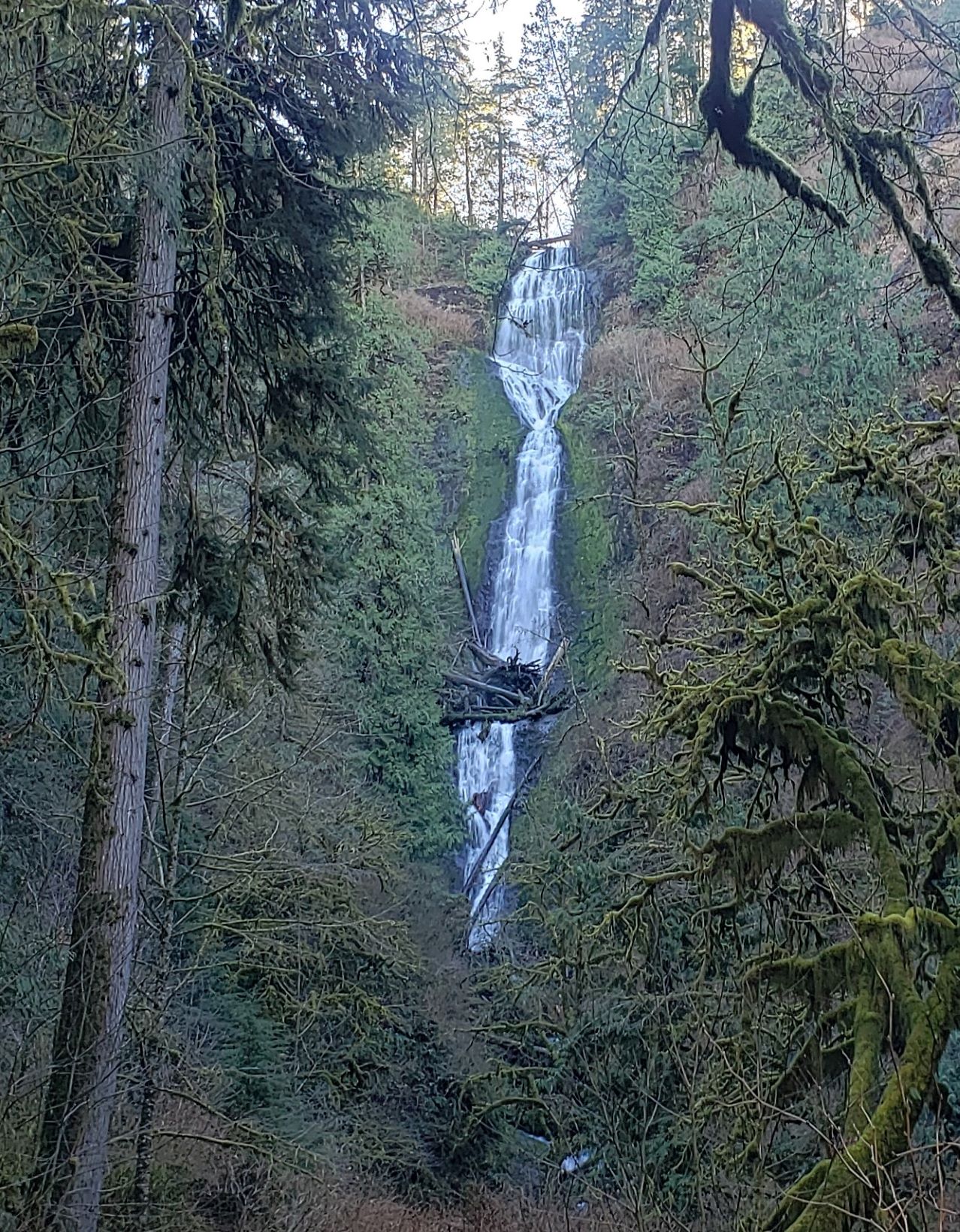 Munson Creek Falls - Exploring with Alice